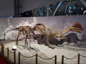 Heureka - Museum Explorer