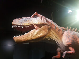 Heureka - Museum Explorer